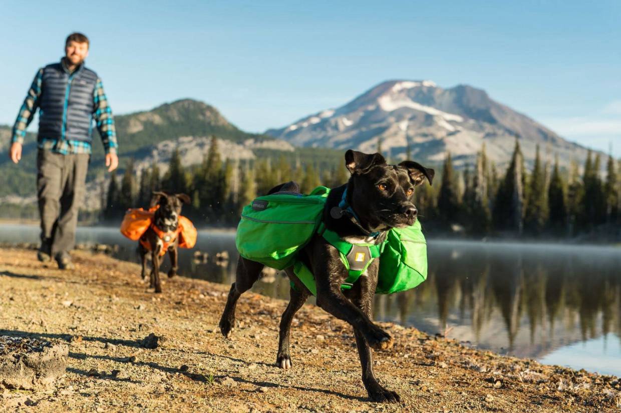 The Best Fanny Packs of 2023 | GearJunkie