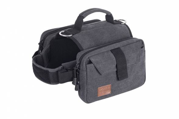 The Best Dog Backpacks of 2025 | GearJunkie Tested