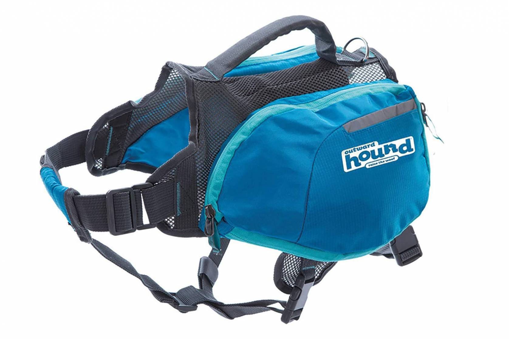 The Best Dog Backpacks of 2025 | GearJunkie Tested