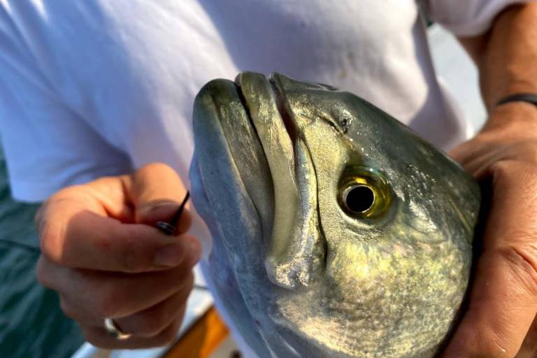 How to Put Together an Inshore Fishing Setup | GearJunkie