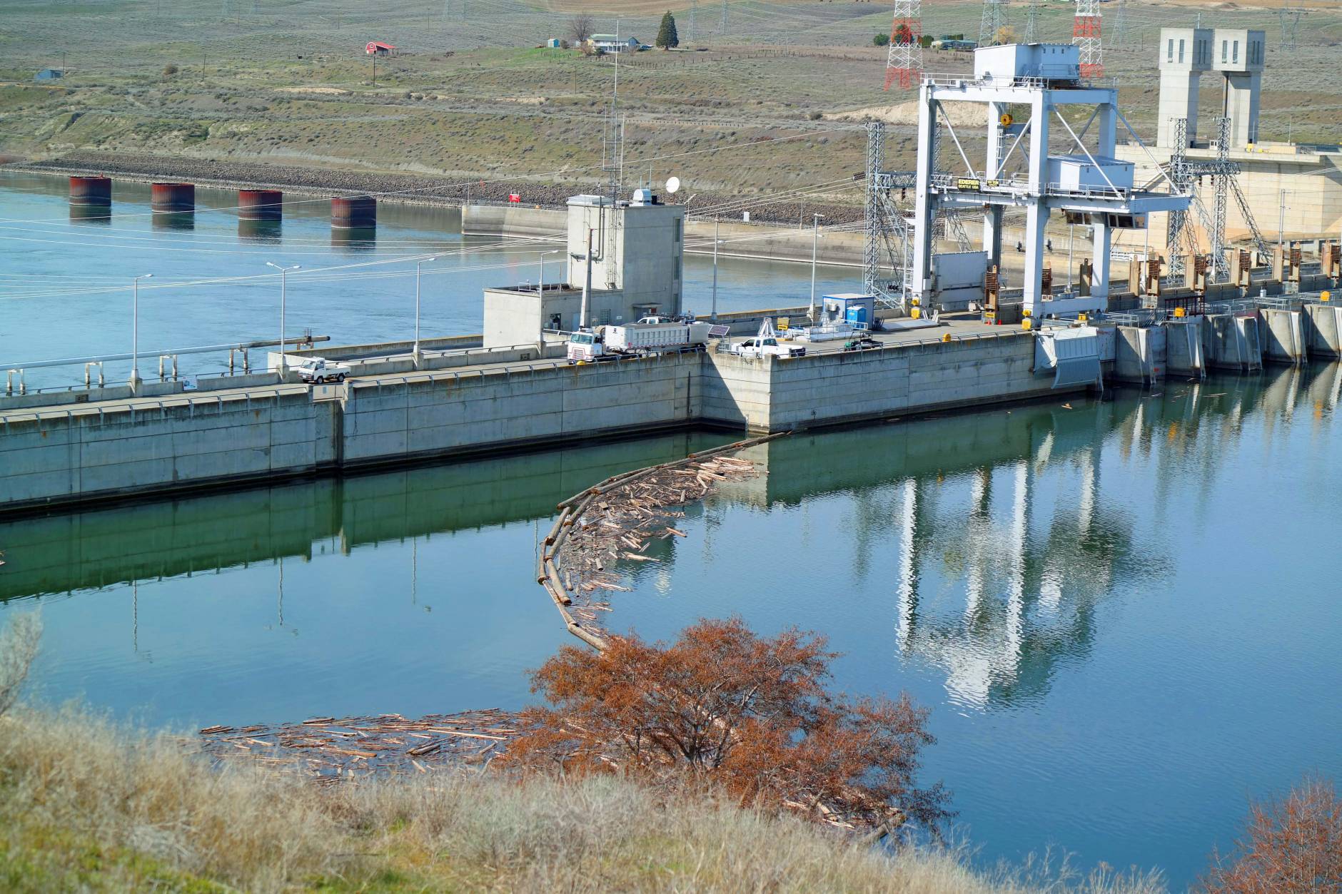 A $34 Billion Plan to Save Salmon, Invigorate PNW Economy | GearJunkie