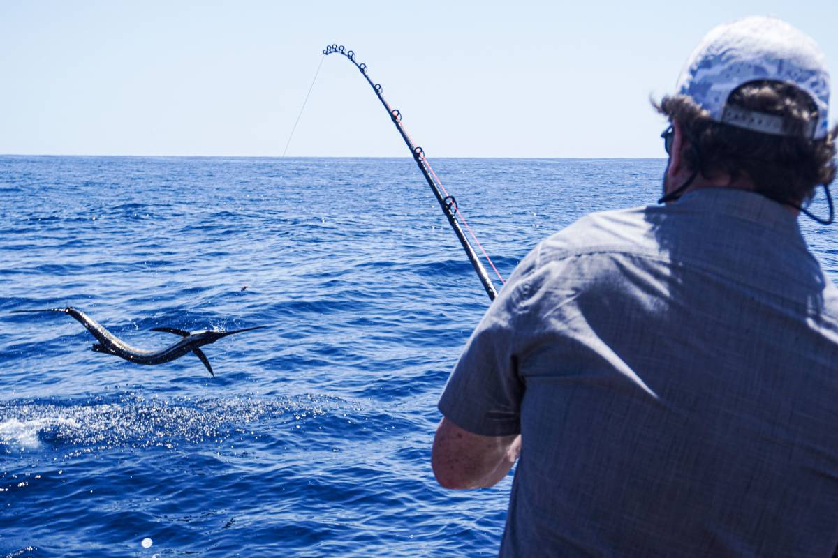The Offshore Fishing Experience: Why You Should Try It | GearJunkie