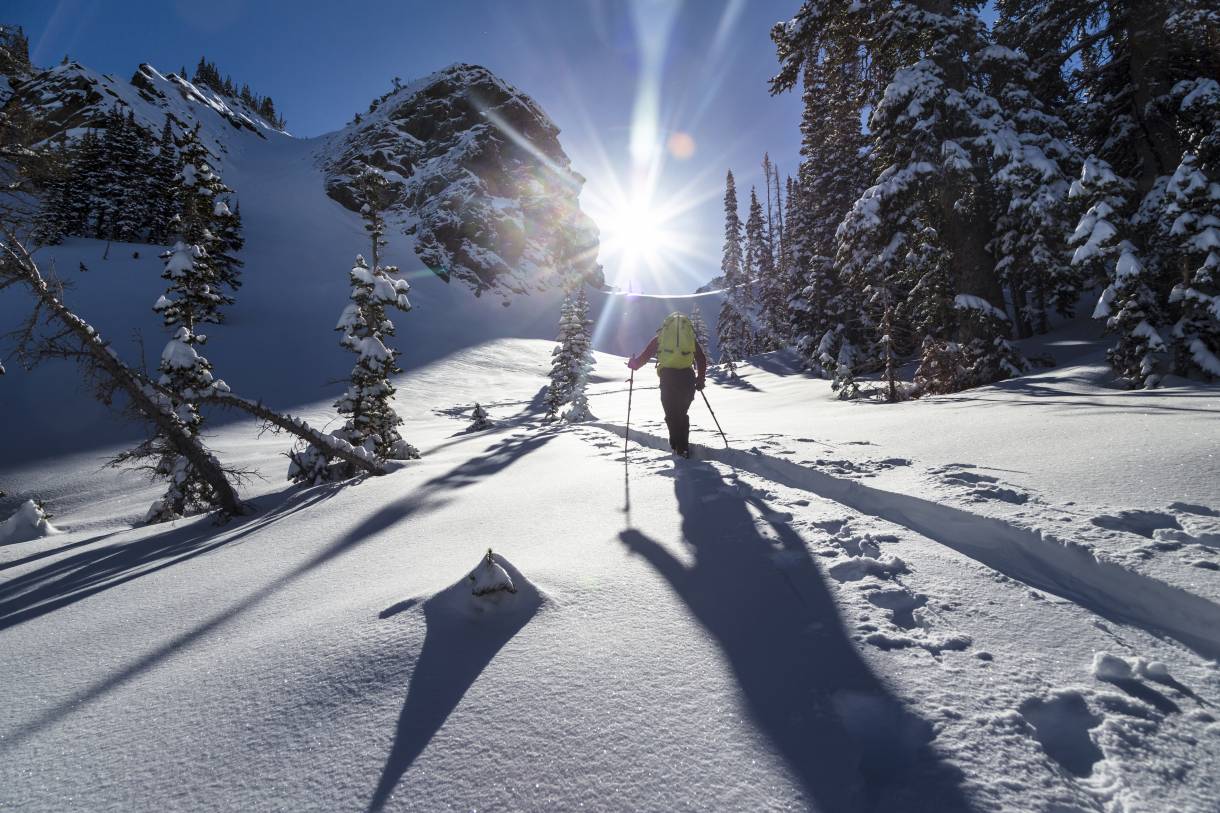 Powder Fever: Backcountry Splitboarding With a 57hours Pro Guide ...