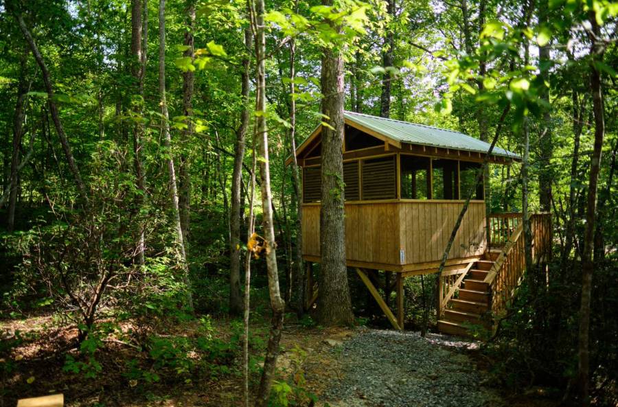Vacation With the Birds: Campspot Reveals Most-Booked Treehouse Stays ...