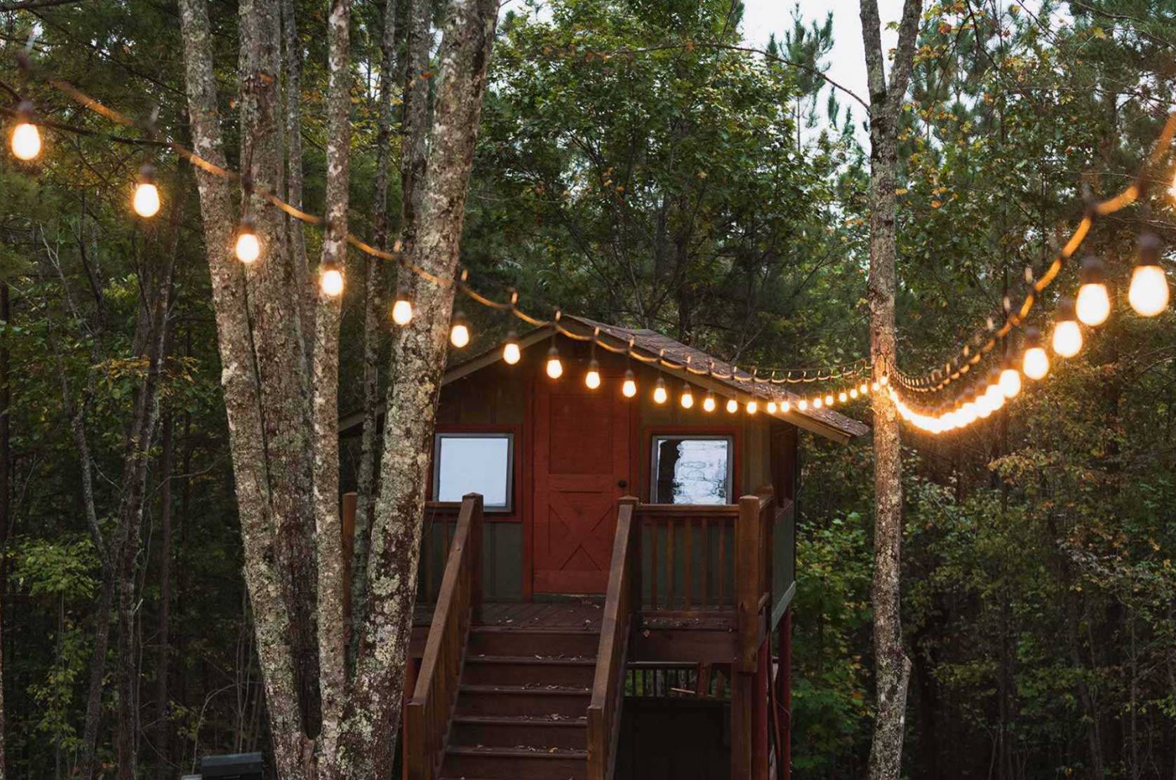 Vacation With the Birds: Campspot Reveals Most-Booked Treehouse Stays ...