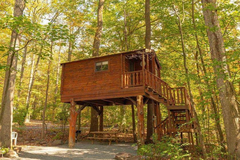 Vacation With the Birds: Campspot Reveals Most-Booked Treehouse Stays ...
