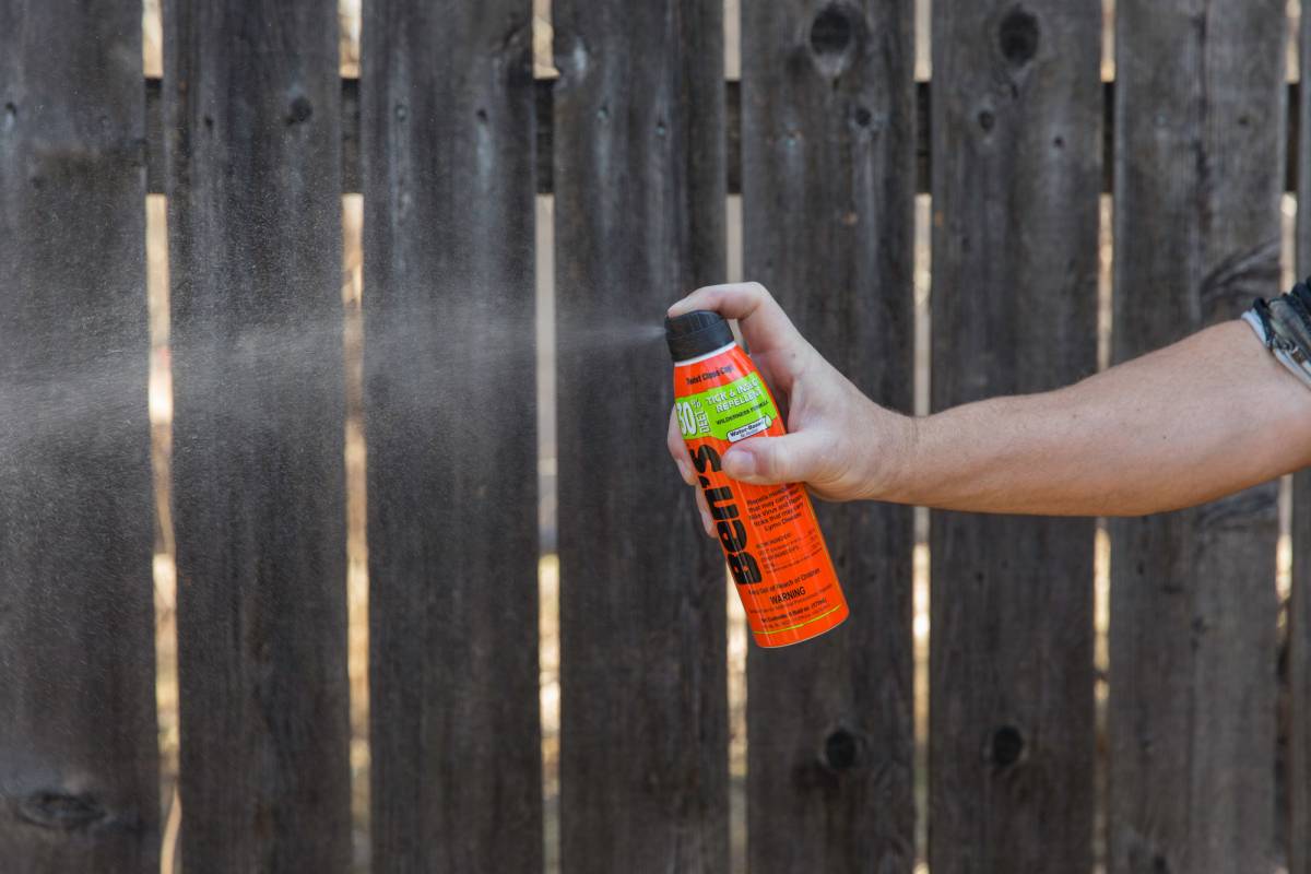 Bugs Be Gone! How to Choose the Right Insect Repellent