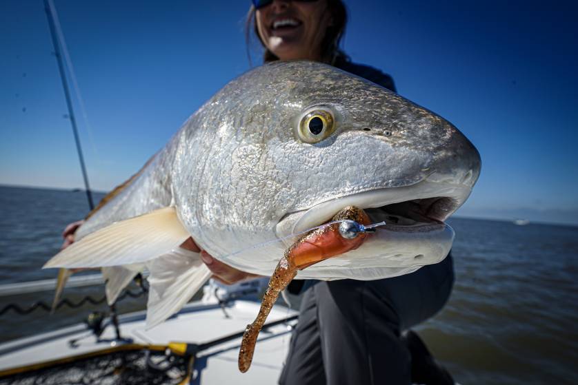 Meet the Redfish: How and Where to Catch a Red Drum | GearJunkie