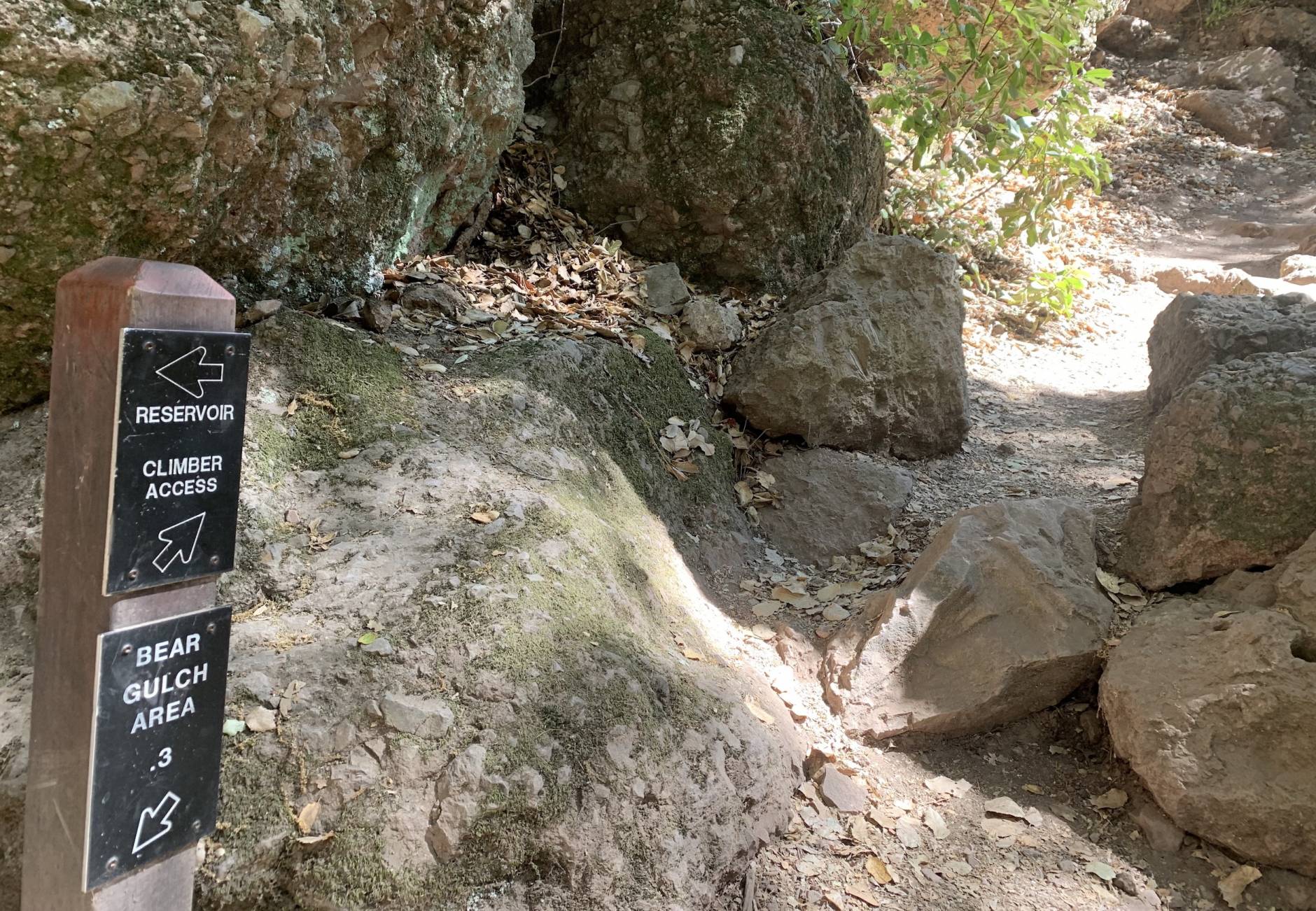 The 5 Best Hikes in Pinnacles National Park | GearJunkie