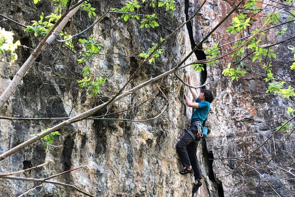4 Fantastic Climbing Areas to Check Out in Honor of National Forest Week