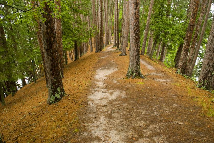 Land of 10,000 Hikes: Top Trails to Check Out in Minnesota | GearJunkie