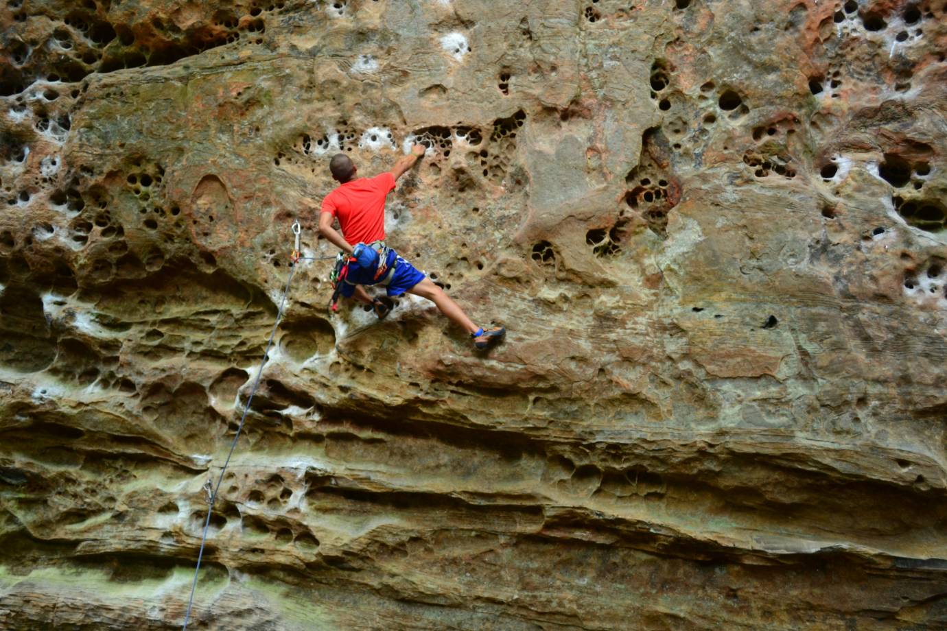4 Fantastic Climbing Areas to Check Out in Honor of National Forest Week