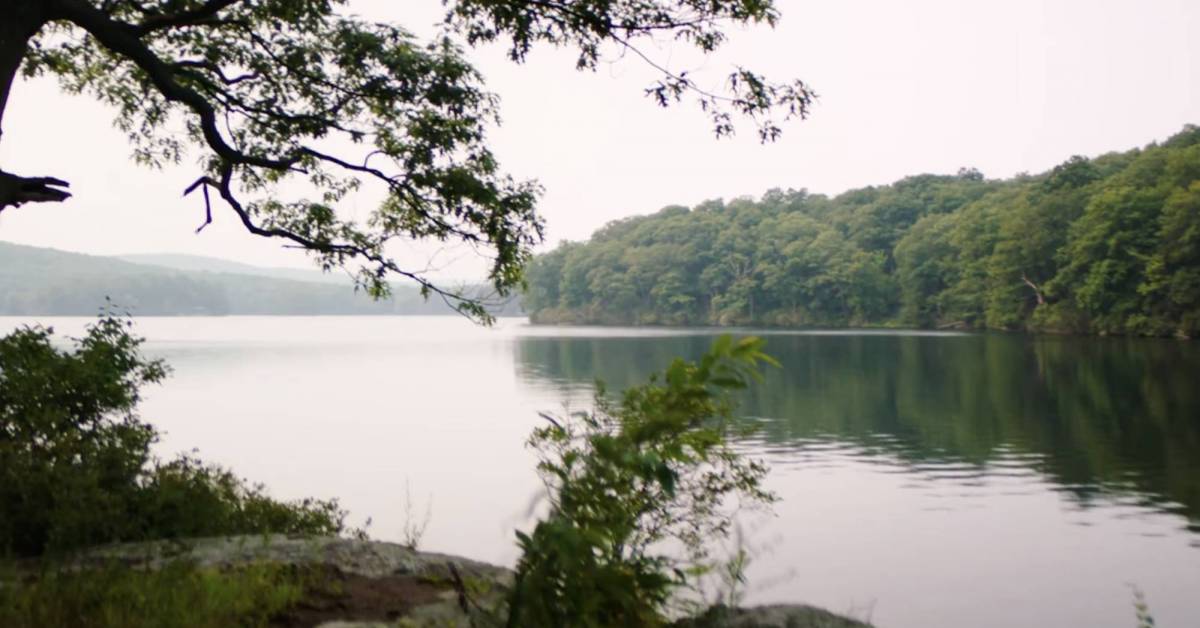 'Wild Tracks': Sonos Releases National Parks-Inspired Playlists ...