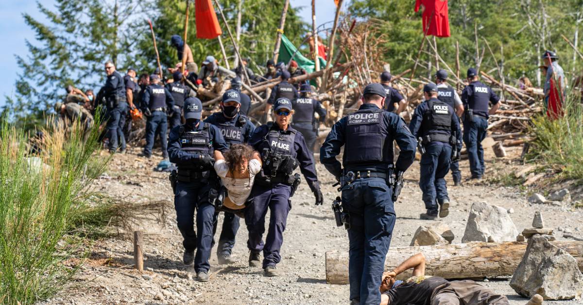 Old-Growth Logging Protest Becomes Canada’s Largest Act of Civil ...