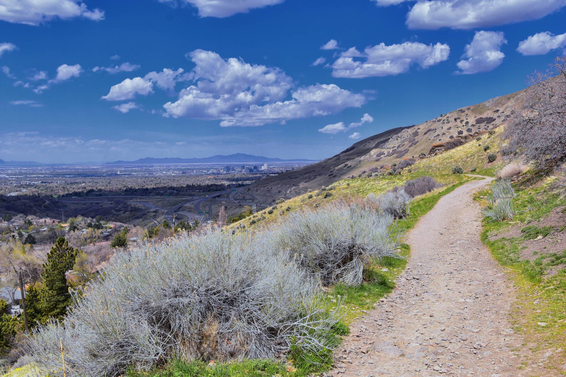 Best Hikes Near Salt Lake City: 6 Awesome Trails Within an Hour of SLC ...