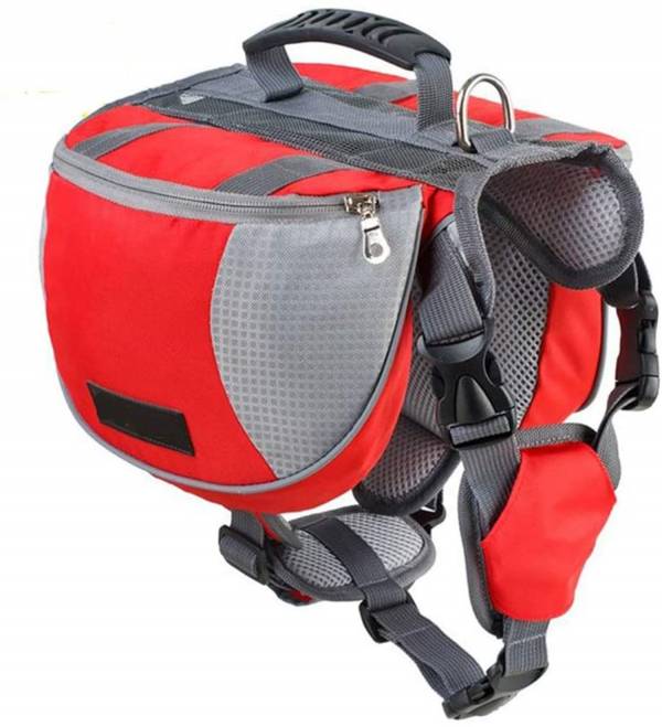 The Best Dog Backpacks of 2025 | GearJunkie Tested