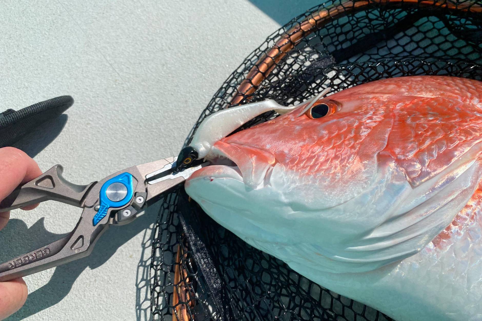 High-Performing and Affordable: Gerber's Saltwater Line Hits the Mark ...