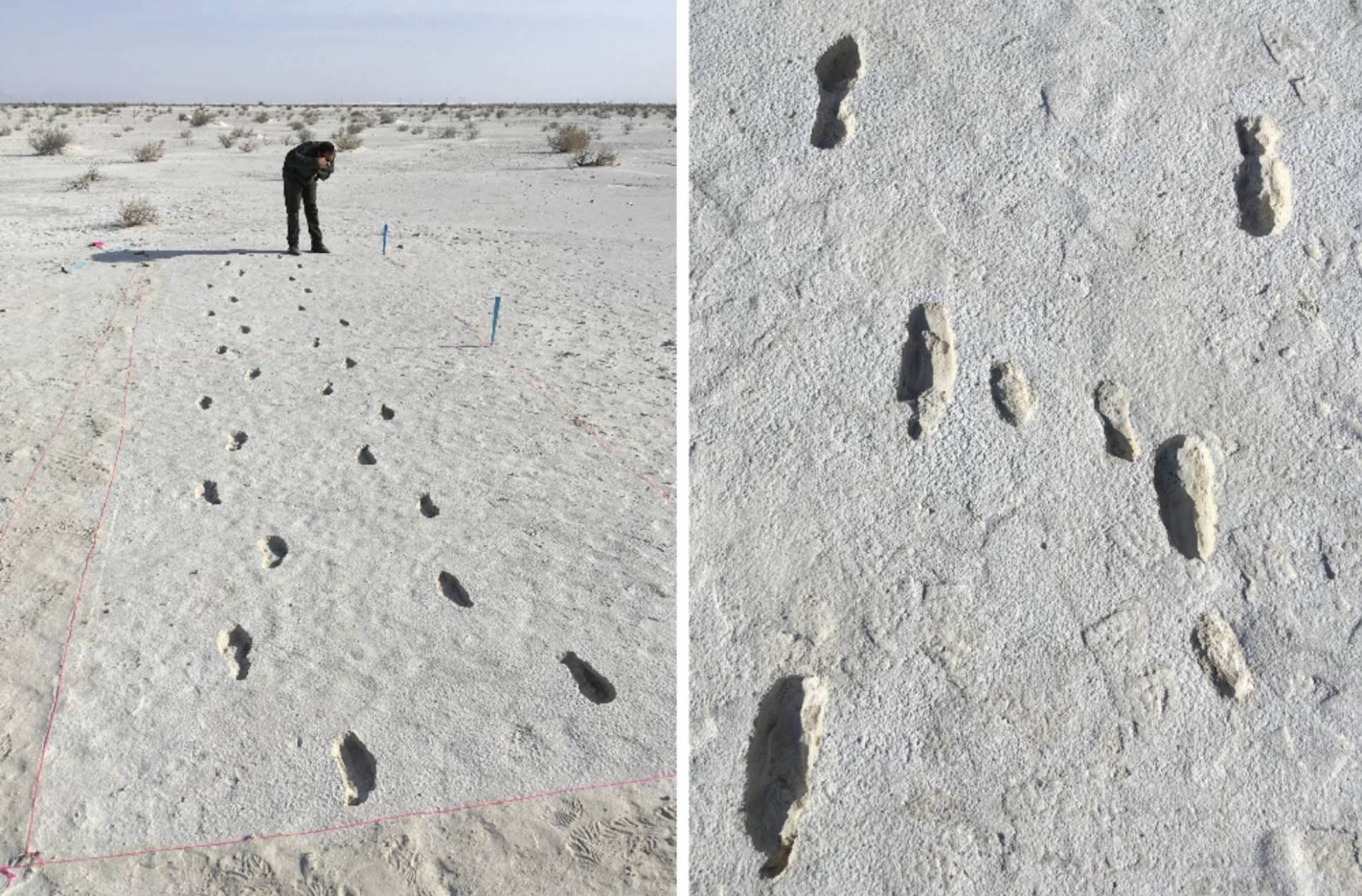 Footprint Fossils Confirm Earliest Known Humans in This US National ...