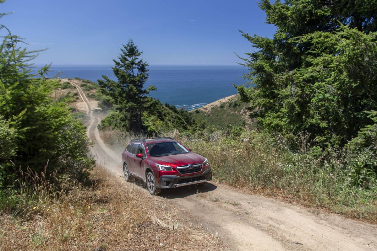 The Best Cars for Canine Companions: 6 Picks for Adventurous Drivers ...