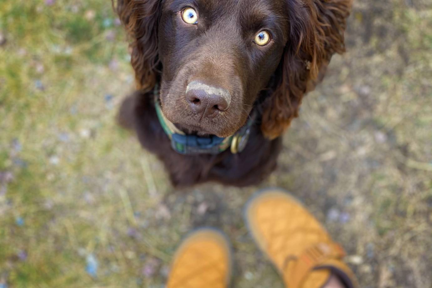 Review: Chaco Ramble Puffs Might Be the Best Outdoor Slippers Ever