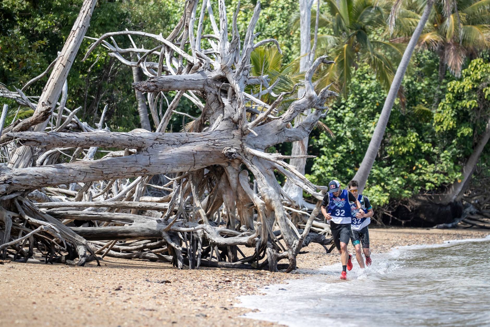Red Bull Trail Heads Pits Runners Against Punishing Downhill Mountain ...