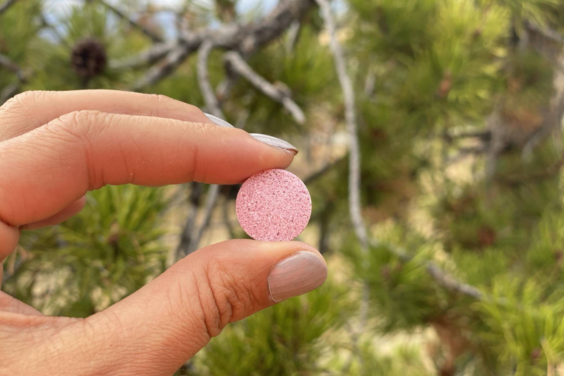 Awoke to Voke: An 'Energy Superfood' Makes Early Rising Bearable ...