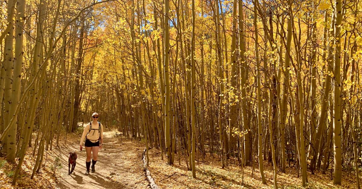 National Hiking Day Is Today: 6 Ways to Celebrate | GearJunkie