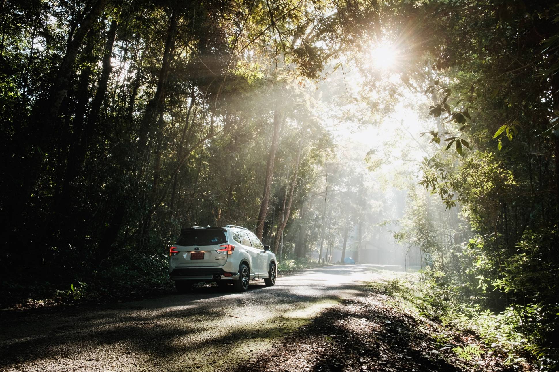 Subaru Green Lights National Parks Fund, Pledging Cash for ...