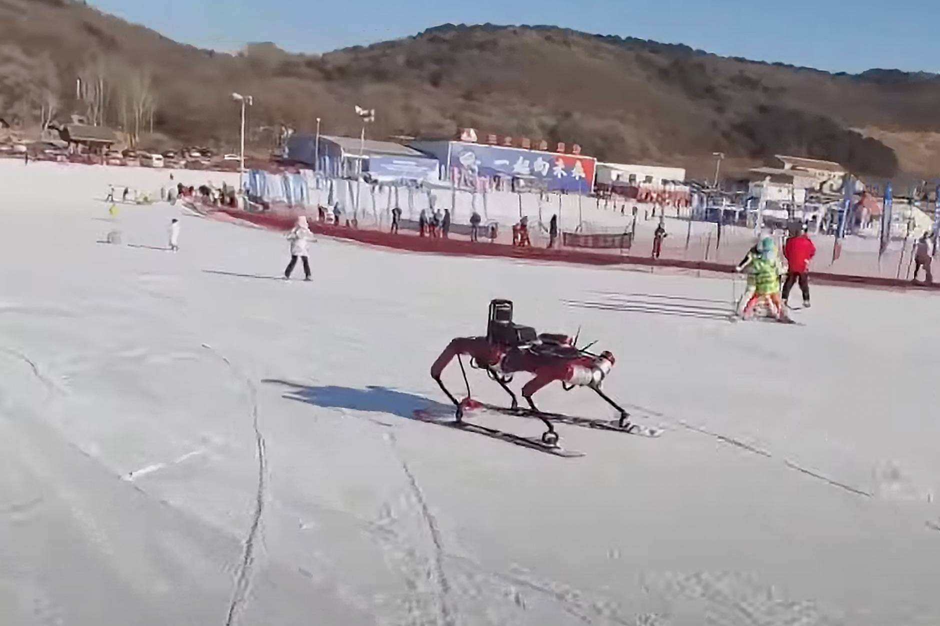 China to Launch a Robotic Skiing Insect at the Beijing Olympics ...