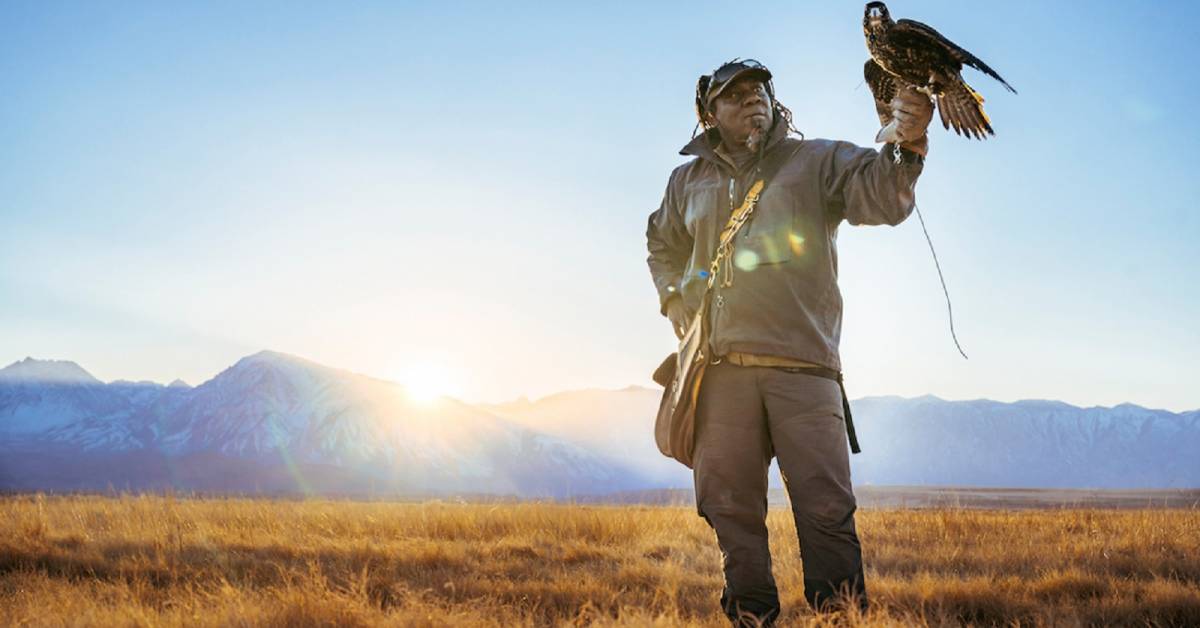 'Game Hawker' Explores Falconry's Lifetime of Devotion | GearJunkie
