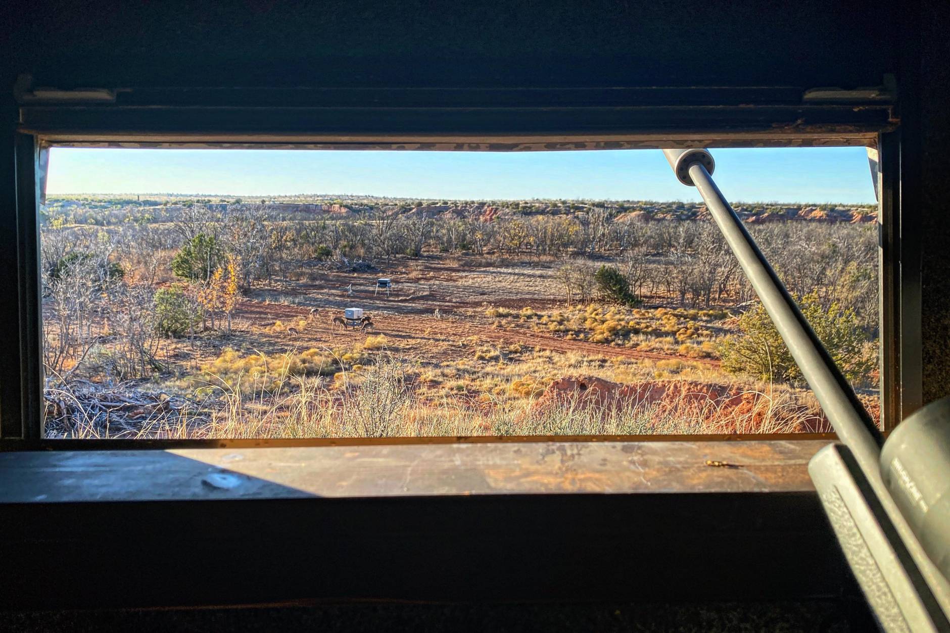 'From Field To Table': A Hunting Class for Beginners, by Experts