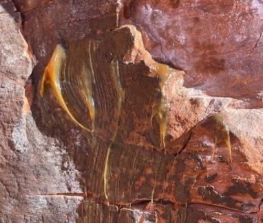 Climbing Sabotage? Grease Smeared on Moab Boulder Holds | GearJunkie