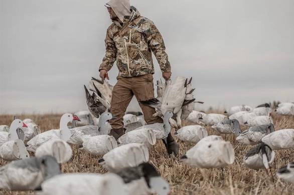 Snow Goose Hunting 101: How to Get Started | GearJunkie