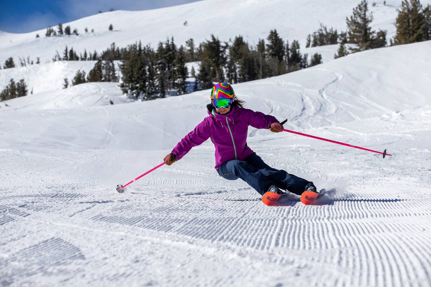 Why I’m Skipping the Powder Frenzy This Spring and Harvesting Corn ...