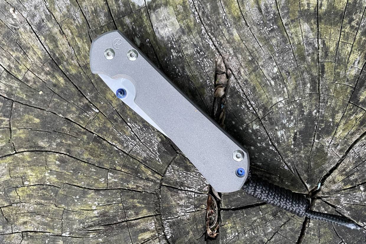 'A Glorious Knife' (And a Terrific Value): Chris Reeve Sebenza 31 Review