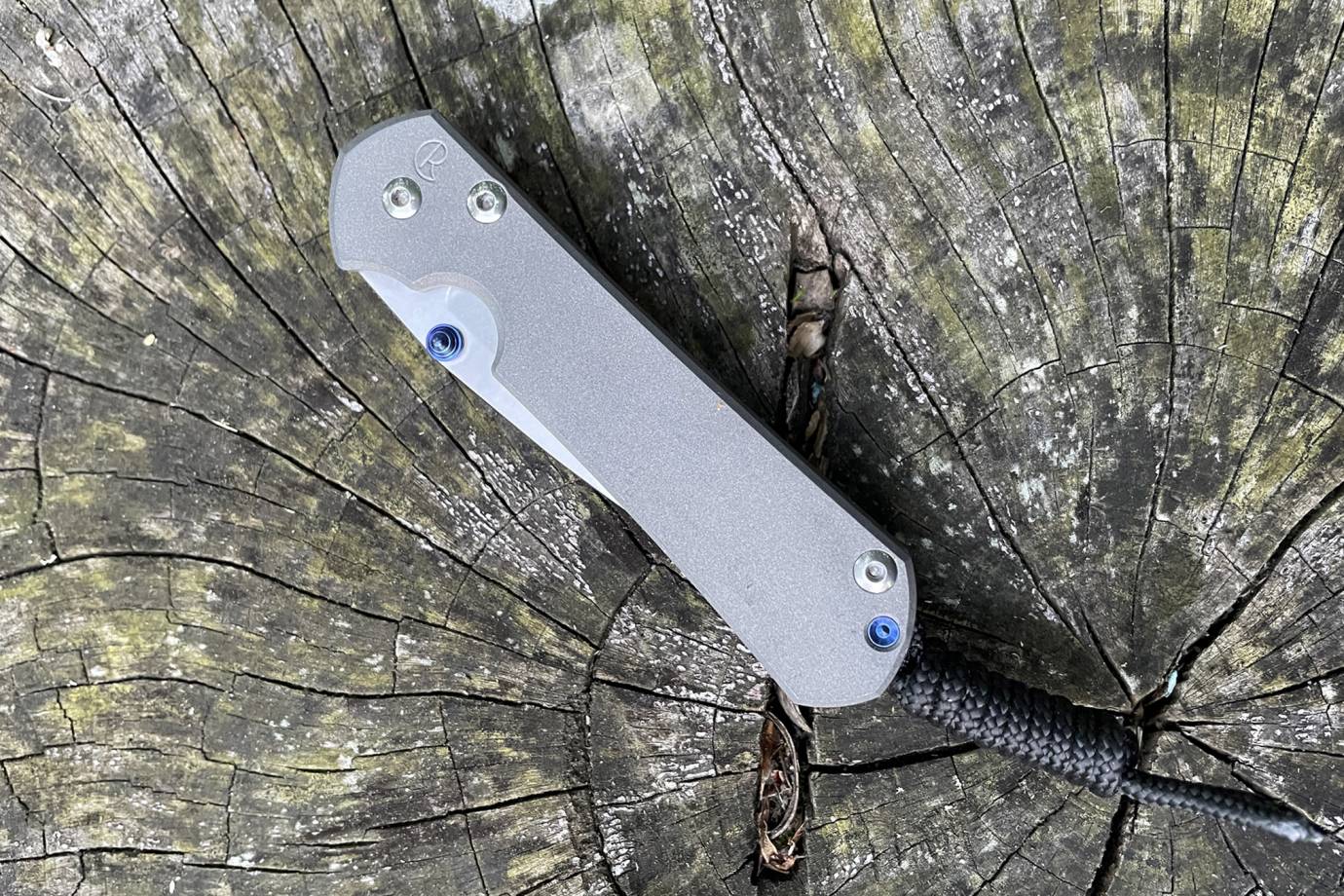 'A Glorious Knife' (And a Terrific Value): Chris Reeve Sebenza 31 Review