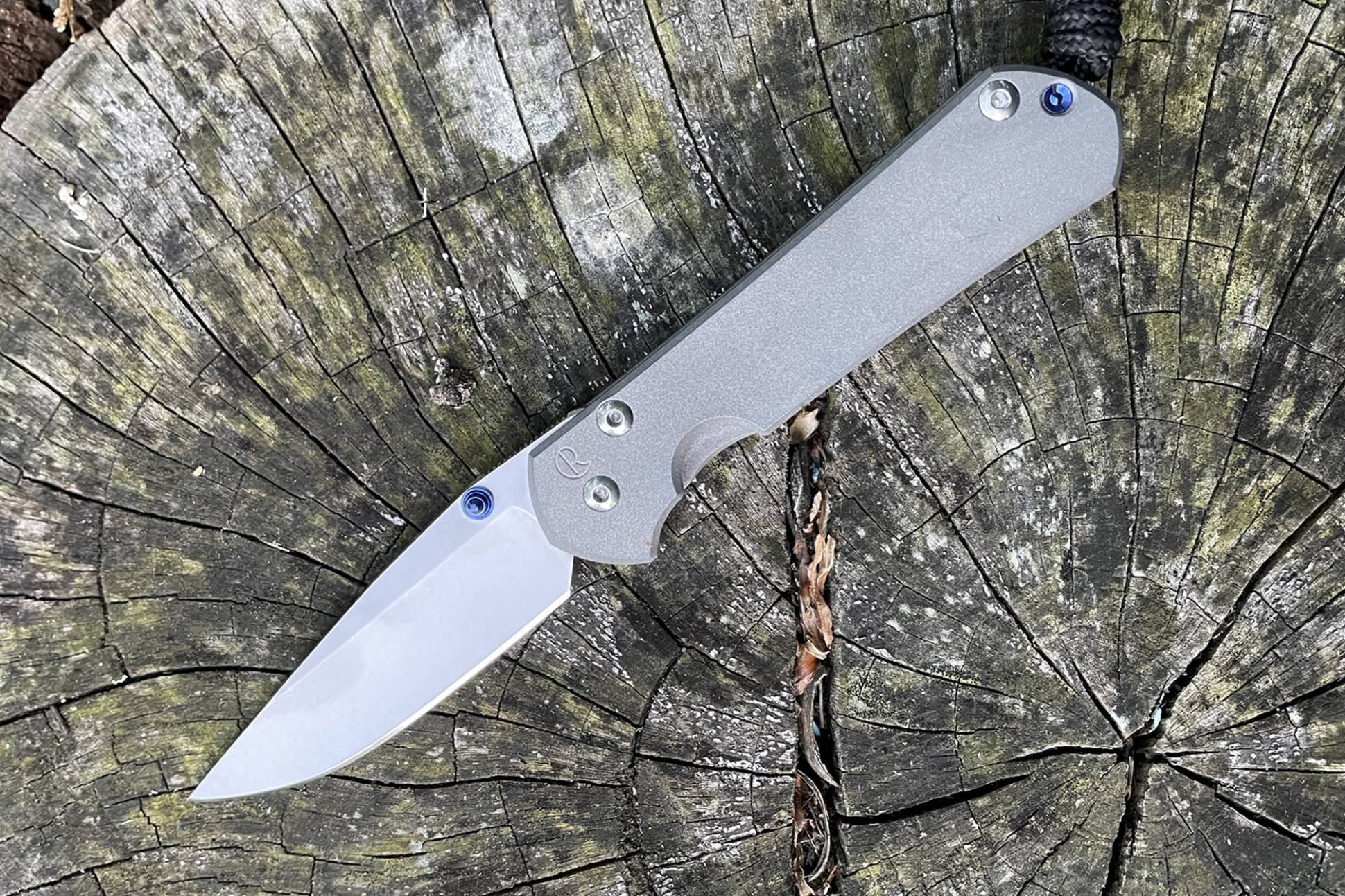 'A Glorious Knife' (And a Terrific Value): Chris Reeve Sebenza 31 Review