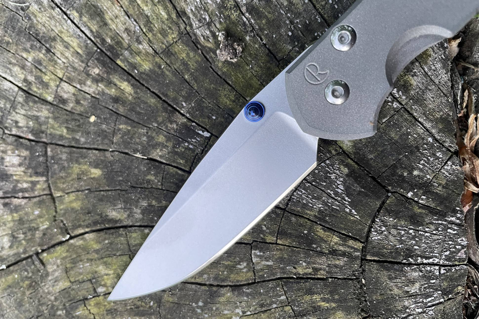 'A Glorious Knife' (And a Terrific Value): Chris Reeve Sebenza 31 Review