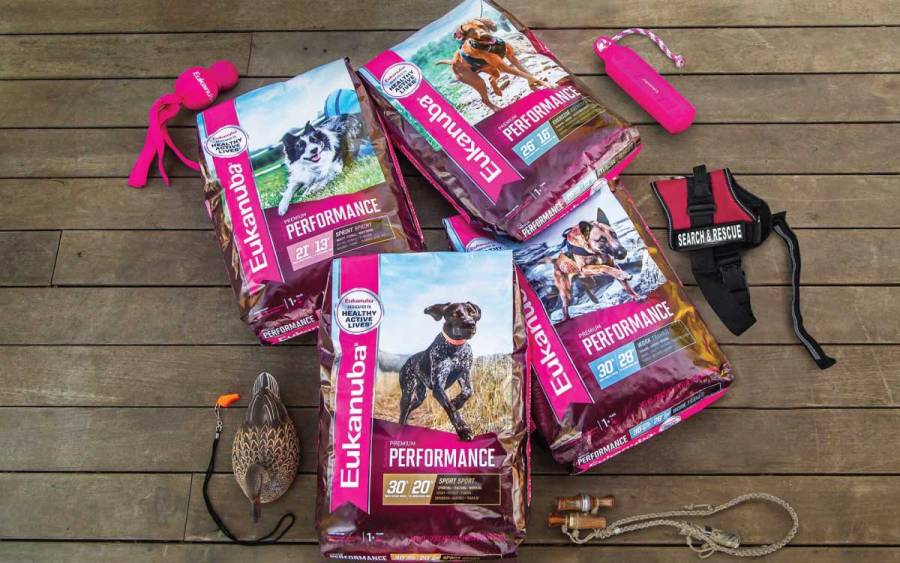 Canine Endurance Fuel? 'Premium Performance' Food for Sporting Dogs ...
