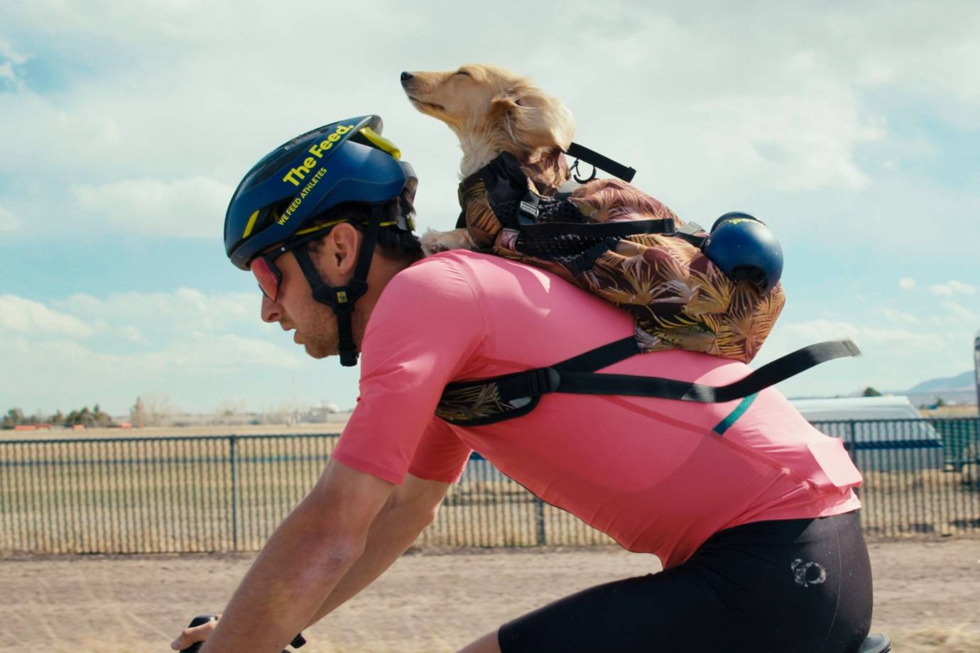 Wiener on a Bike: Watch Fastest Known Dog 'Sir Willie' | GearJunkie
