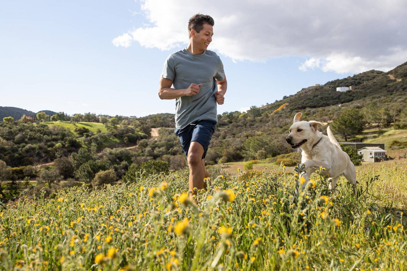 Pooped Pup? Purina at PetSmart Wants to Up Your Running Dog's Endurance ...