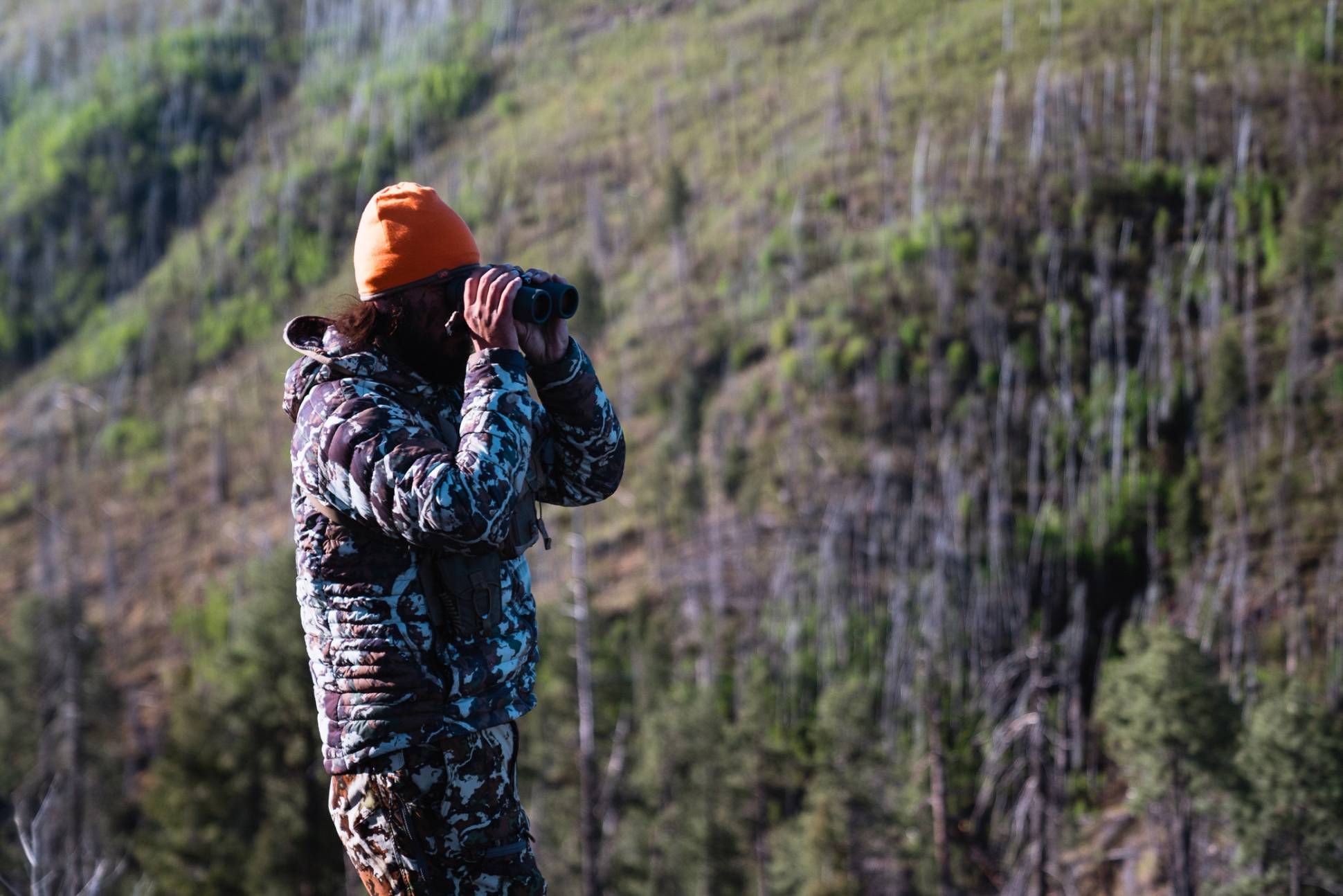 Spot-and-Stalk Spring Bear Hunting 101 | GearJunkie