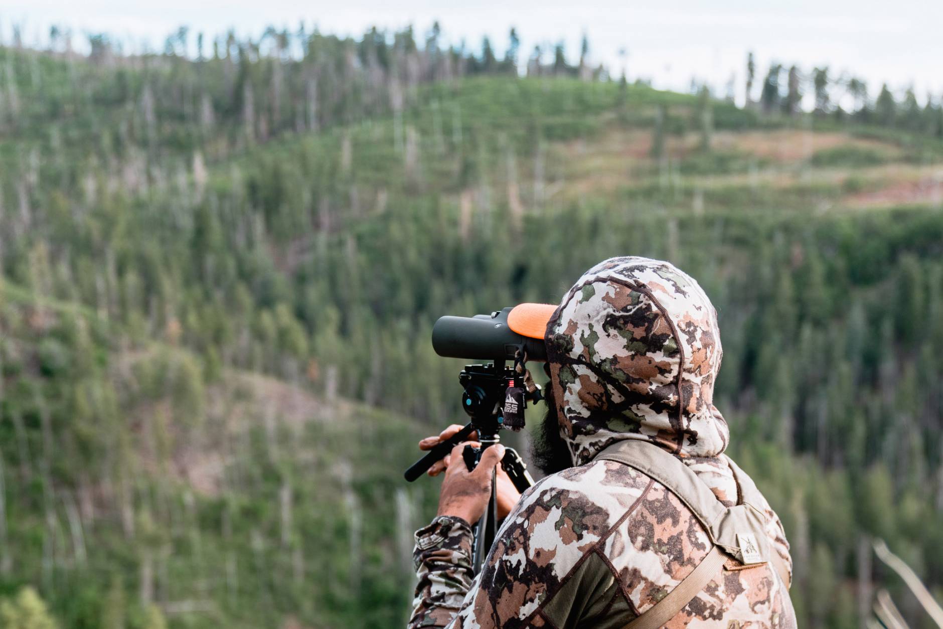Spot and Stalk Spring Bear Hunting 101 – Online Social Shop