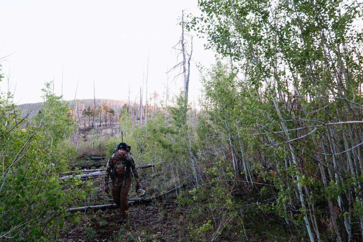 Spot-and-Stalk Spring Bear Hunting 101 | GearJunkie
