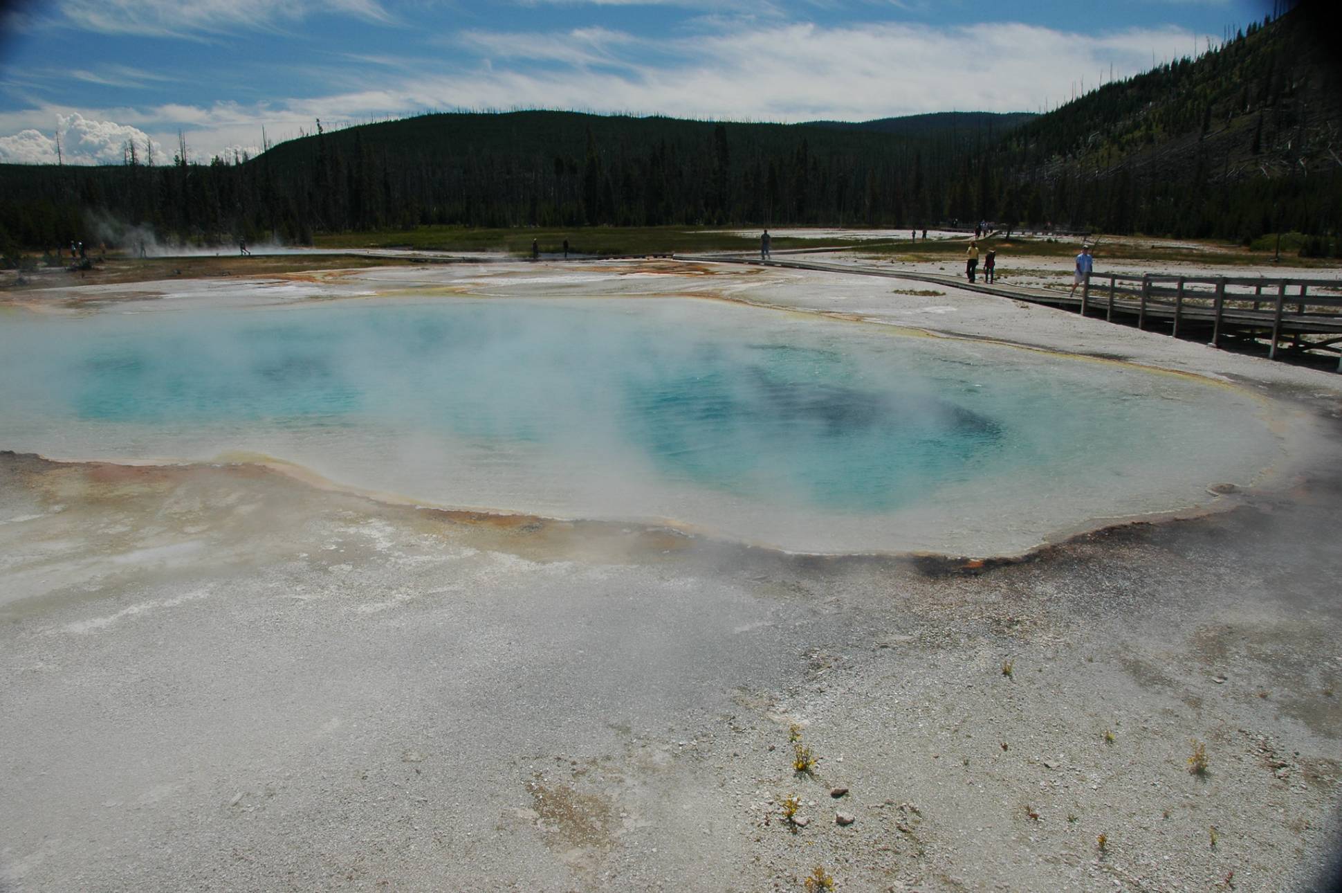 Woman Gored by Bison in Yellowstone, Suffers Injuries | GearJunkie