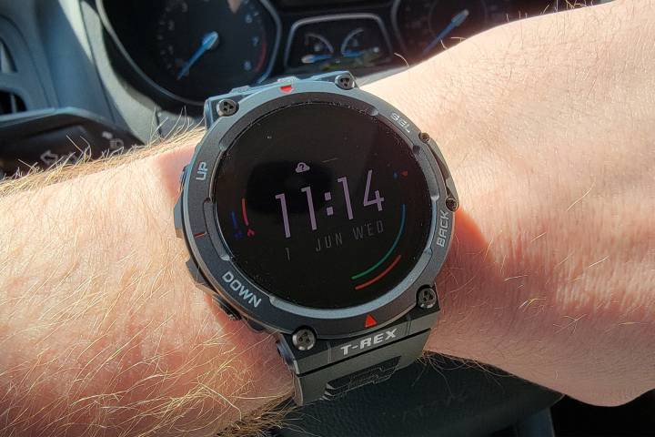 Goodness Cretaceous: A Smartwatch Skeptic’s Take on the Amazfit T-REX2 ...