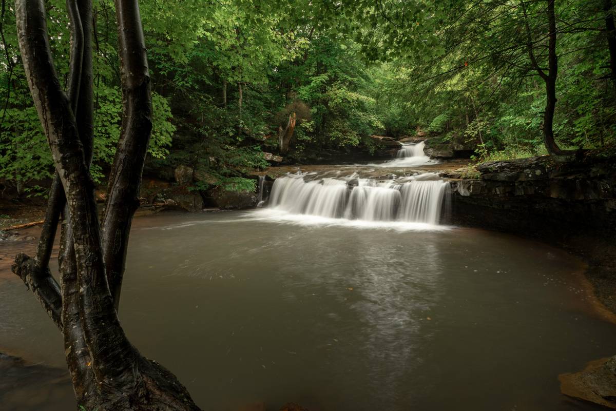 Explore More Than 25 Waterfalls on WV's First Statewide 'Waterfall ...