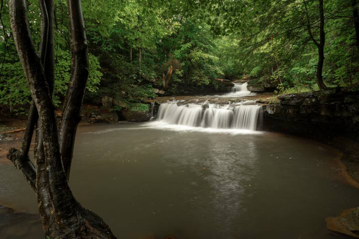 Explore More Than 25 Waterfalls on WV's First Statewide 'Waterfall ...