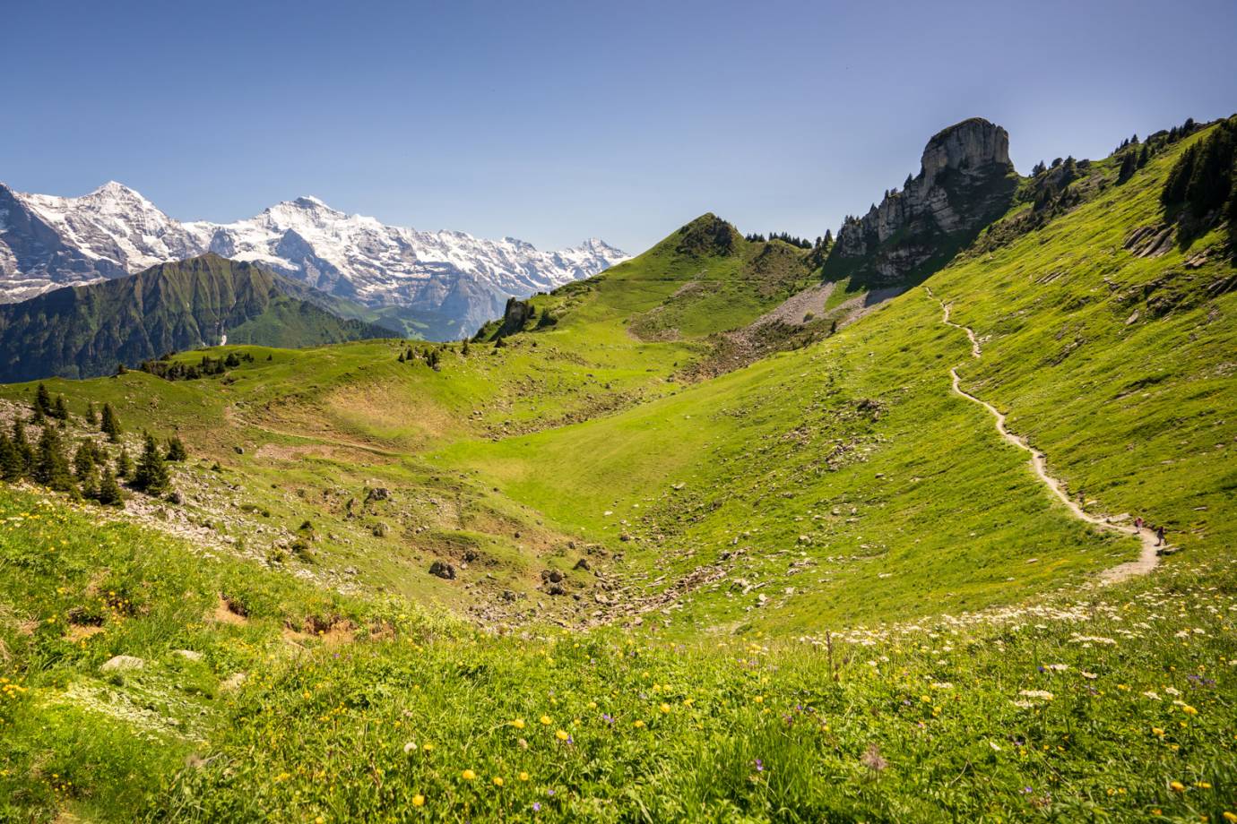 Why Summer in Grindelwald, Switzerland, Belongs on Your Bucket List ...