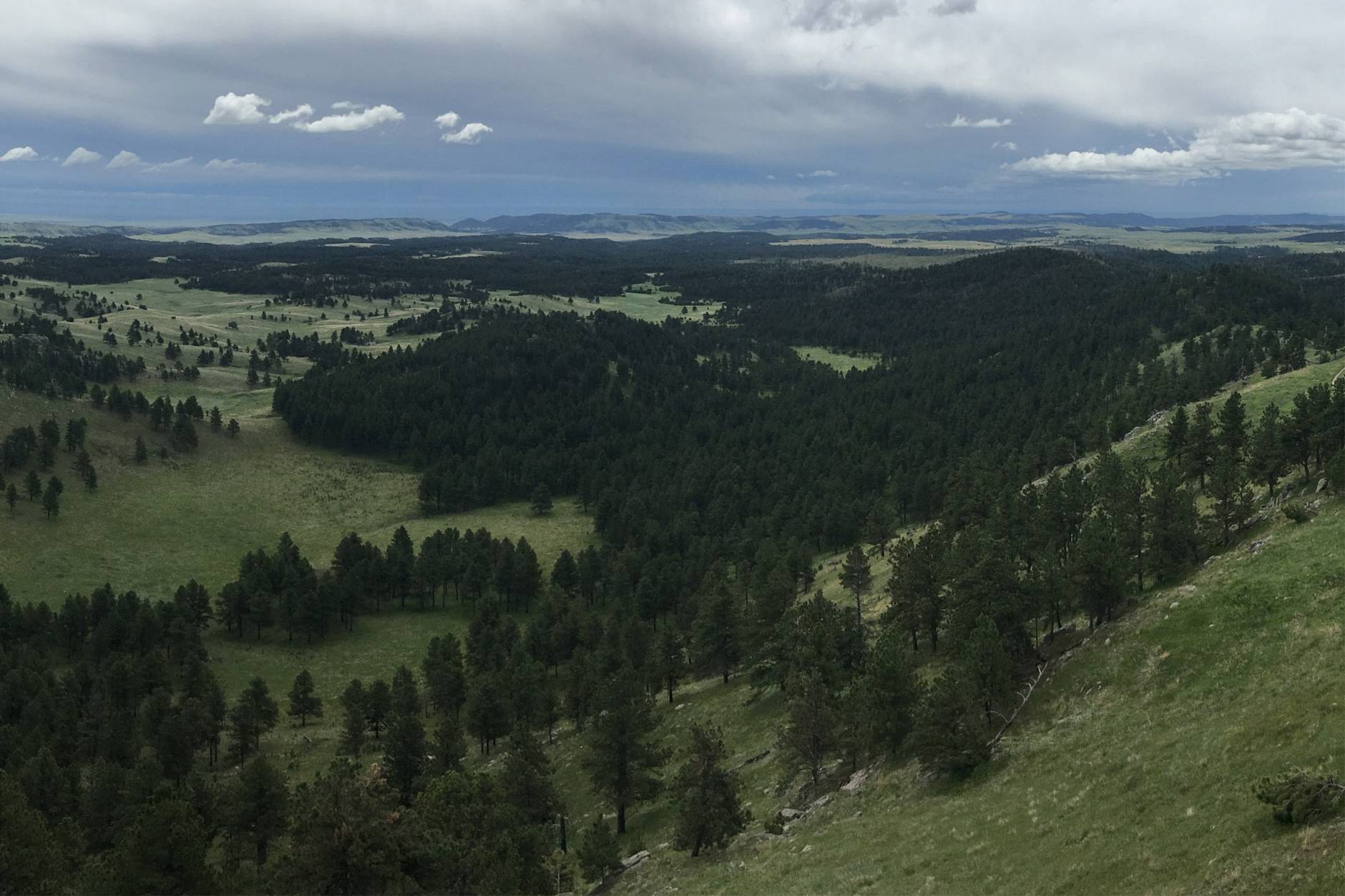 Come for the Cave Tour, Stay for the Trails: 5 Best Hikes in Wind Cave ...